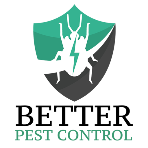 บริการ กำจัดปลวก มด แมลง จากทีมงานมืออาชีพประสบการณ์กว่า10ปี
